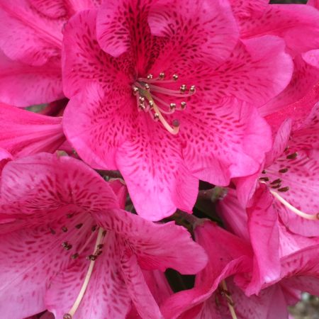 Breathwork Q&A – The Esposito Institute